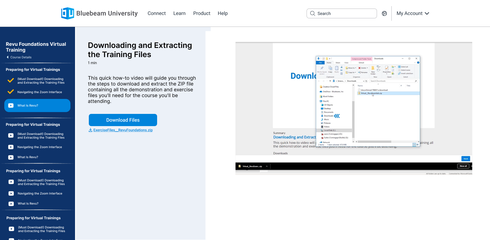 Portfolio_CDoolan_Festival