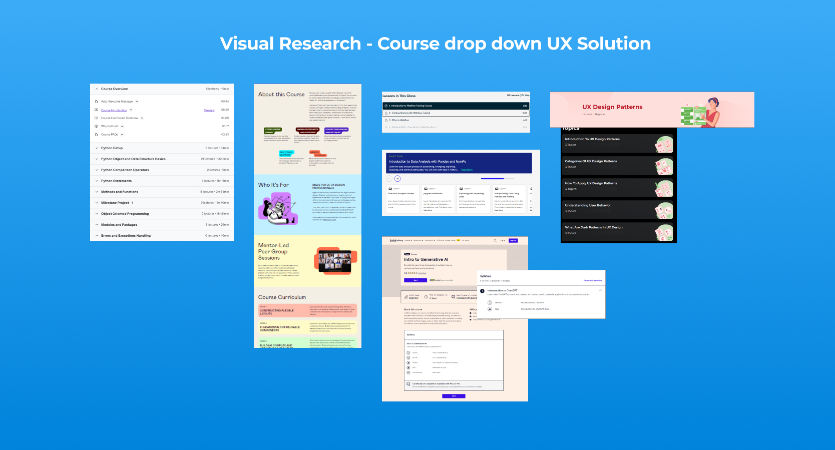 Portfolio_CDoolan_Festival
